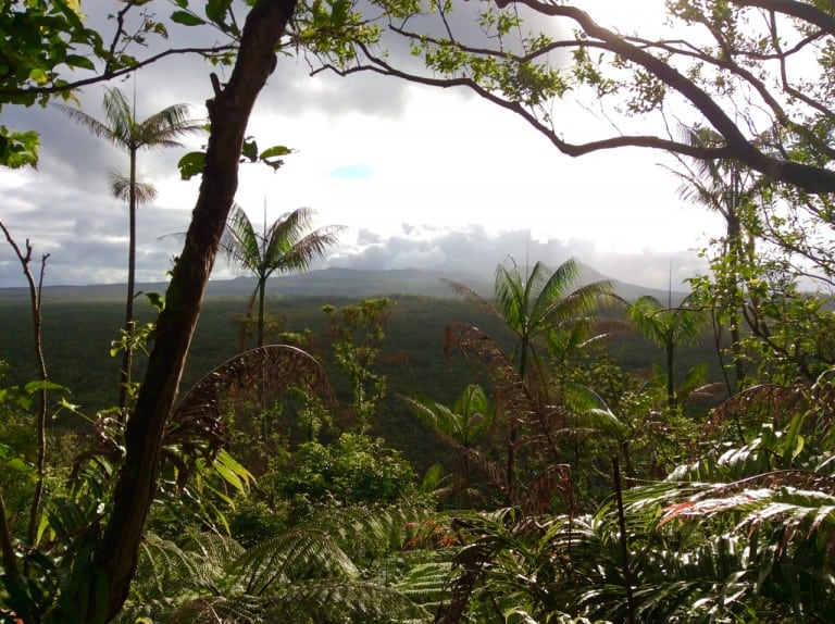 Vanuatu volcano hiking activities island spirit - Island Spirit Island ...